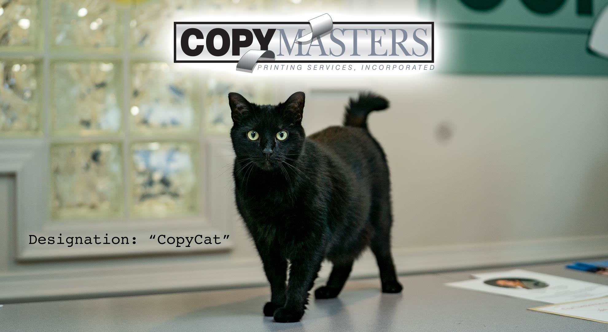 CopyMasters | Hickory, North Carolina’s Best Printing Services